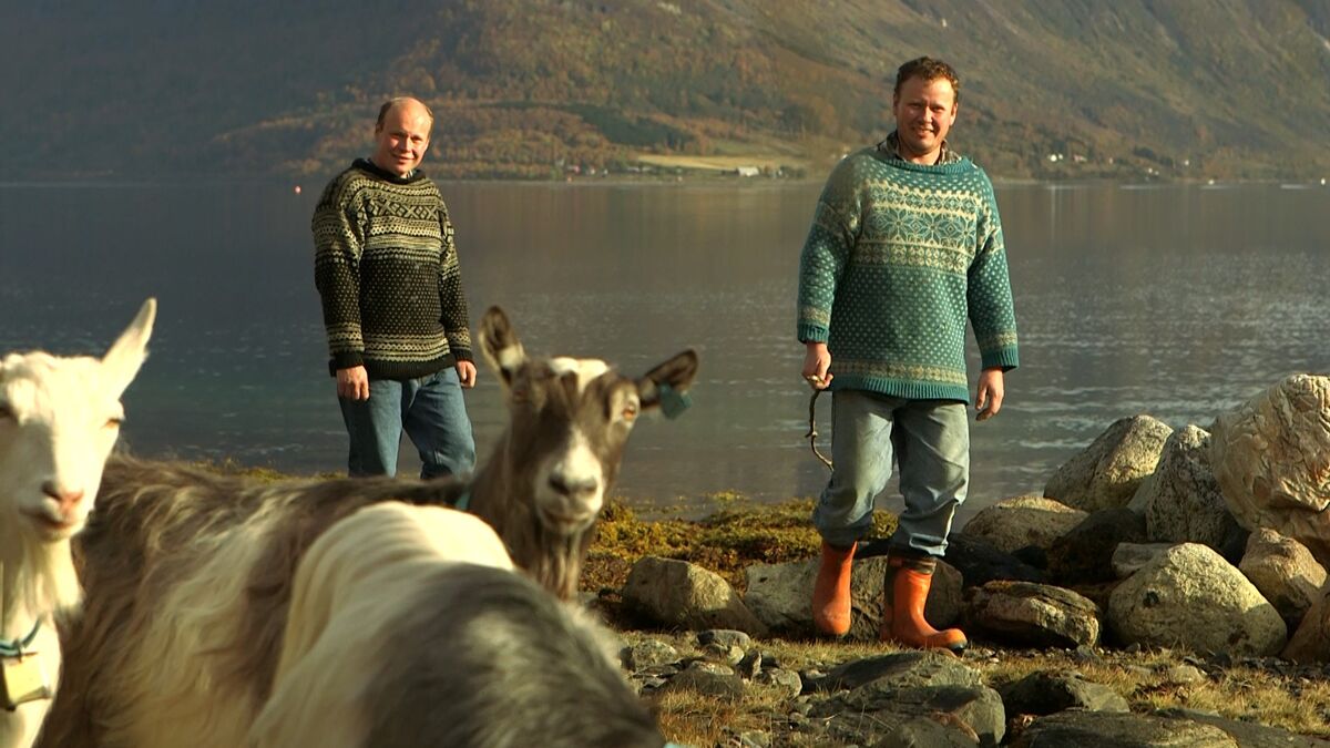 Brødrene Johansen - Tromsø Internasjonale Filmfestival